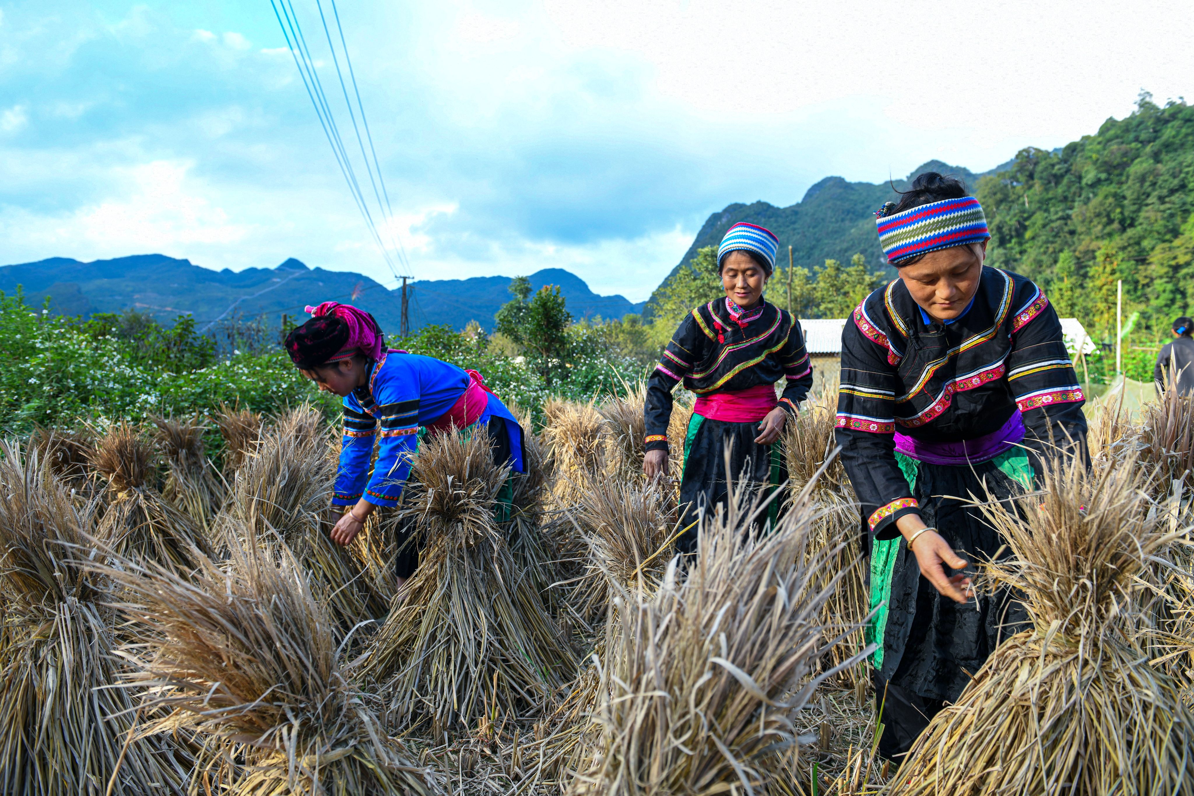 Co Lao ethnic group